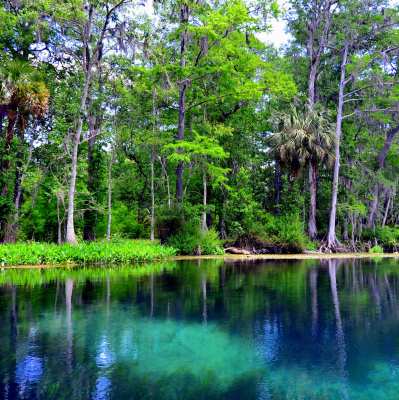 Silver Springs State Park Glass Bottom Boats At Silver Springs State