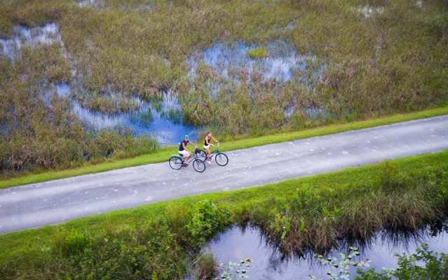 Shark valley bike ride store