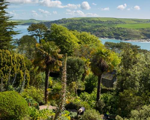 Visit Devon this summer