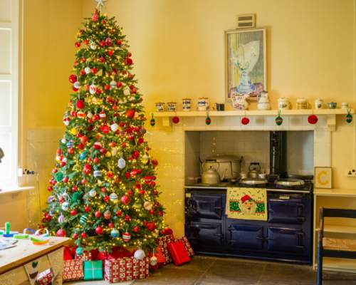 Visit Devon this winter