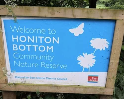 Top things to do in Honiton and East Devon
