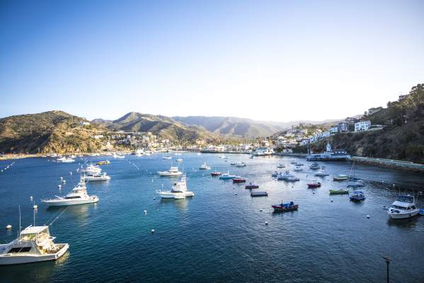 Moorings in Two Harbors | Catalina Harbor