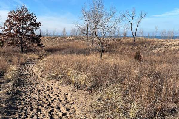 Northwest Indiana Trail Details | Maps, Difficulty and More