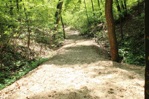 Northwest Indiana Trail Details | Maps, Difficulty and More