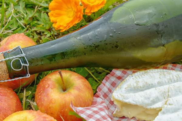 Events In Boston This Weekend | November 8 - 11, 2024