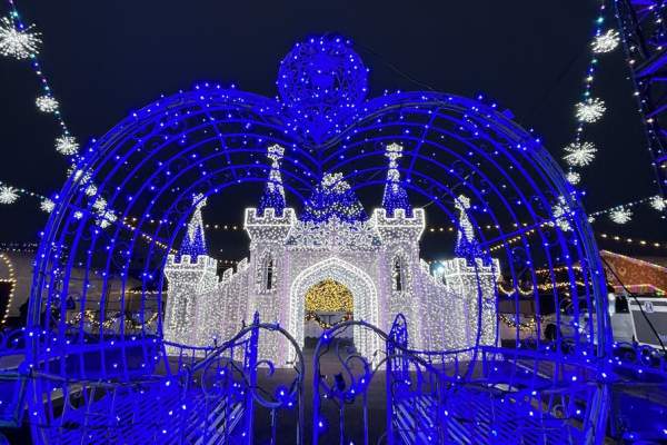 Events In Boston This Weekend | January 24-26, 2025