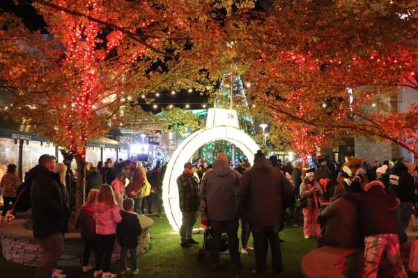 Events In Boston This Weekend | November 22 - 24, 2024