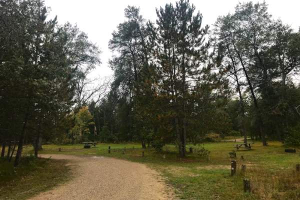 Manistee River Bridge State Forest Campground