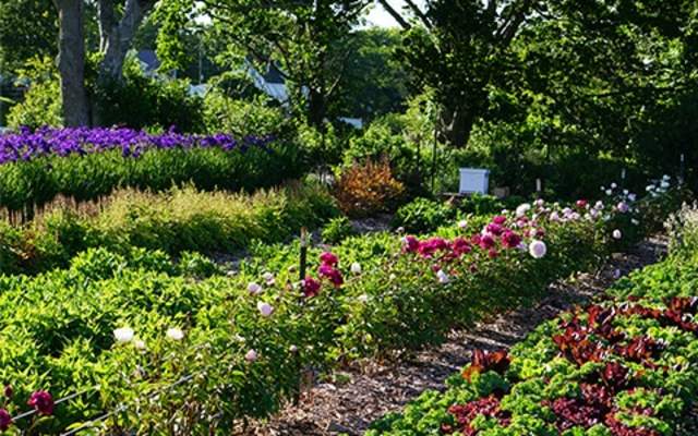 1661 Inn Farm and Gardens | Block Island, RI