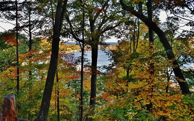 Sanctuary Woods Preserve