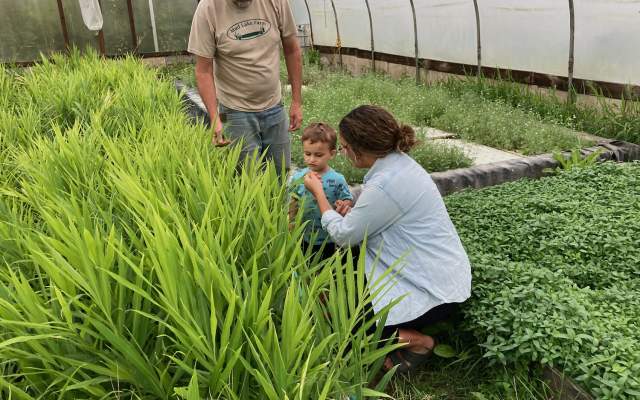 Mud Lake Farm