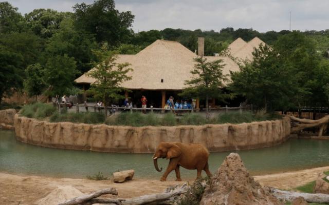 Dallas Zoo