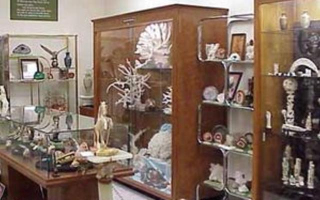 Elsing Museum | Tulsa, OK 74136