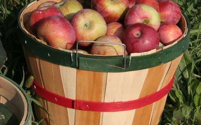 crooked line farm and orchard