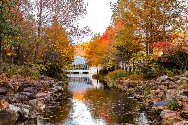 Bentonville Restaurants for all Tastes and Culinary Styles