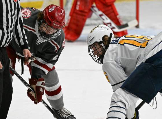 Arctic Edge Ice Arena