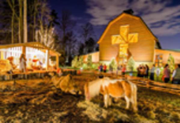 billy graham library