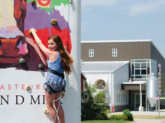 screaming monkeys munster