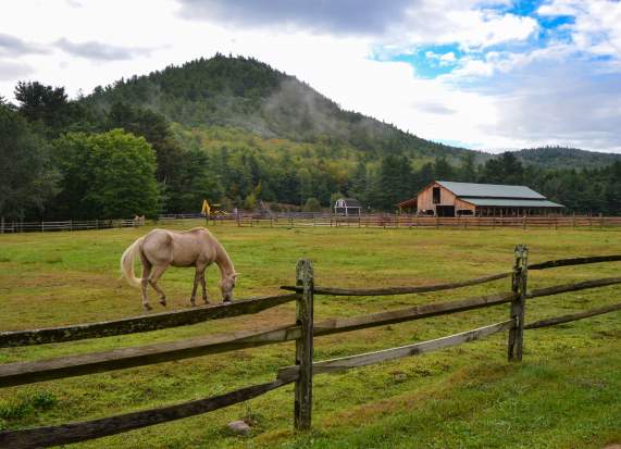 Mountain View Rocking B Ranch