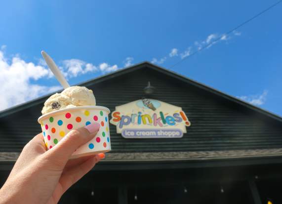 Sprinkles Ice Cream Shoppe - Queensbury, NY | Visit the Lake George Area