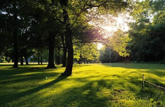 Sports in Branson | Explore Branson