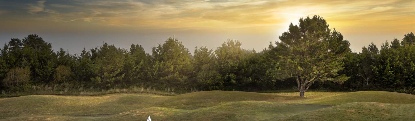 Florence Golf Courses