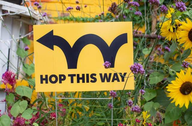 Burlington’s 32nd South End Art Hop | Celebrate Art & Creativity