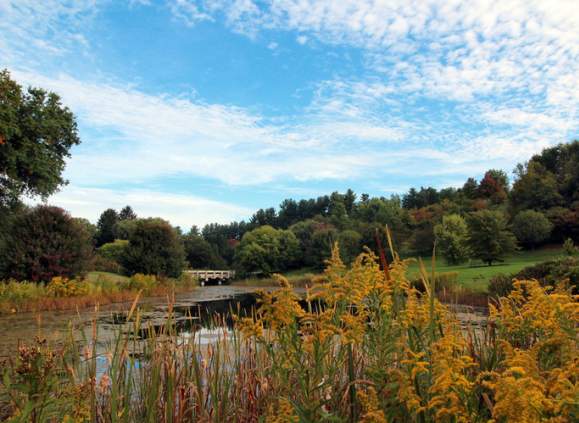 Cultural Sites and Museums in Ithaca, NY