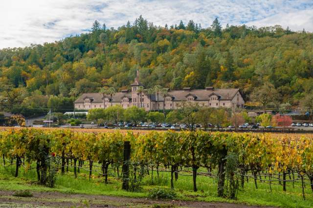 St helena wineries store