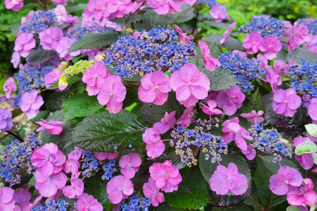 Visit Cape Cod | Hotels, Events & Things to Do in Cape Cod