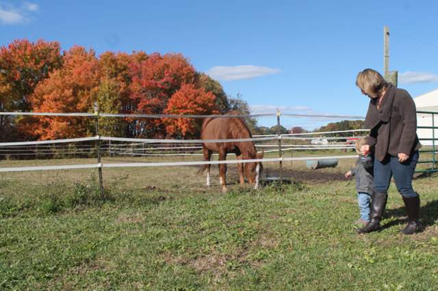 MORRIS FARM | Warwick, RI