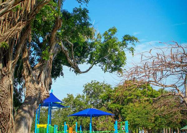 Pompano Beach Community Park | Pompano Beach, FL