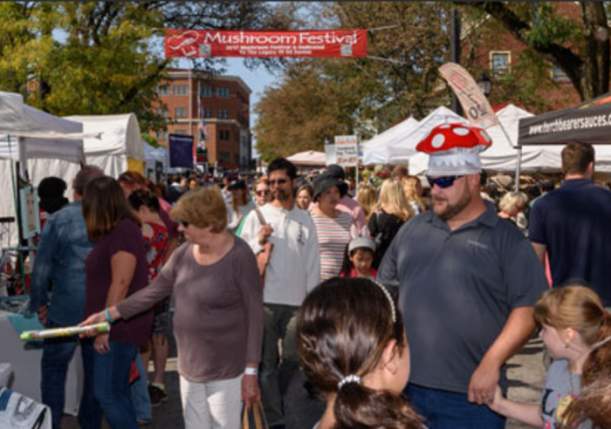 36th Annual Mushroom Festival Offers Fun, Food & of course FUNGI