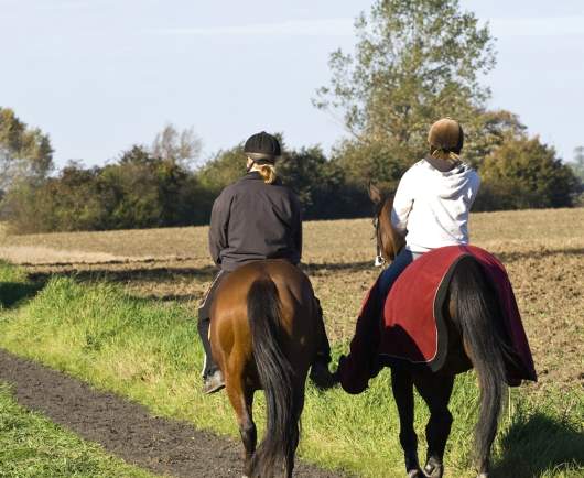 Western Trails Horseback Riding