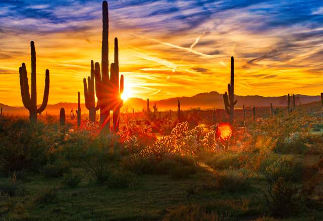 Arizona admitted as 48th state of the Union 110 years ago this hour # ...