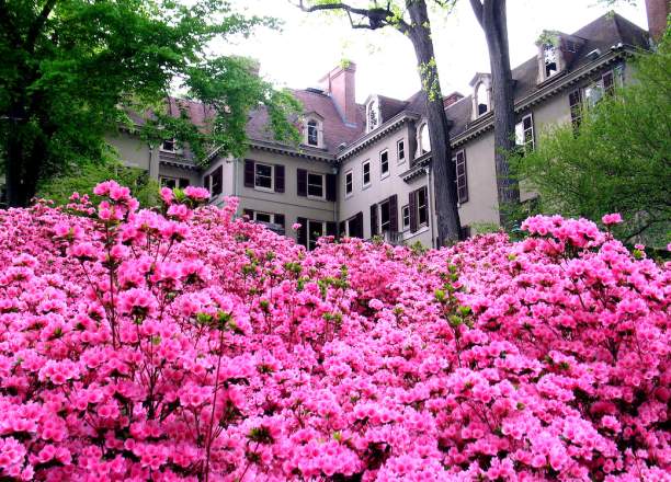 Winterthur Museum, Garden & Library