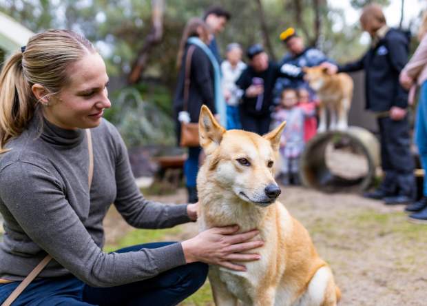 Perth to Rockingham 3 Day Itinerary