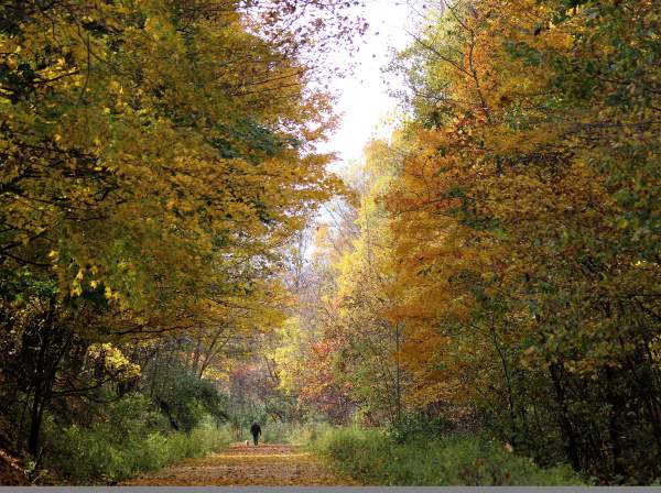 Greater Akron & Summit County | Adventure & Natural Beauty