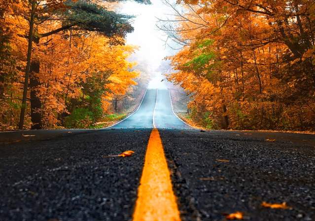 Scenic Drives for Fall Leaves in Northern Virginia | Visit Fairfax