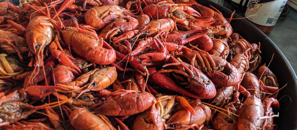 Crawfish Harvesting If You Want Crawfish, You May Need To Pay More