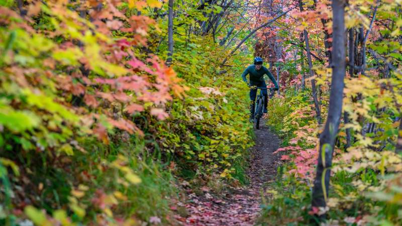 Fall Mountain Biking in Park City | Trails, Mountains & Loops