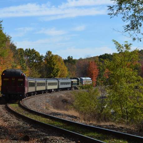 Best Places to See Fall Foliage in Scranton | Fall Foliage Near Scranton