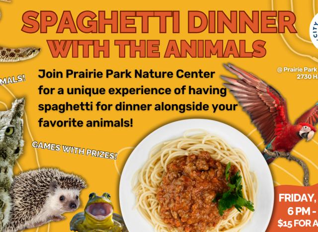 spaghetti animals