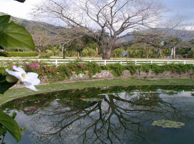 Hope Botanical Gardens