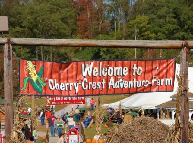 cherry crest battle zone