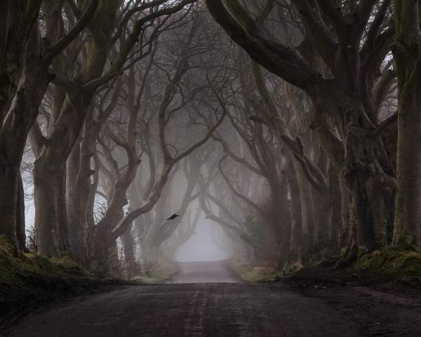 Simpleview | Marketing Solutions | CVB Tourism Software