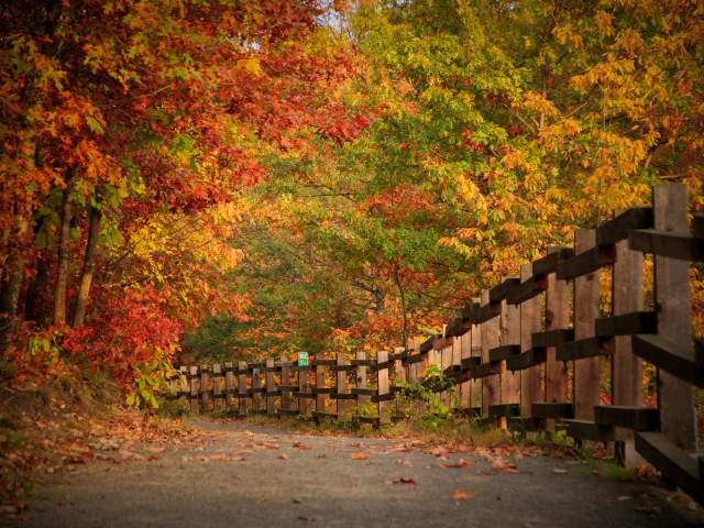 Nay Aug Park in Scranton | Treehouse, Scenery & Playgrounds