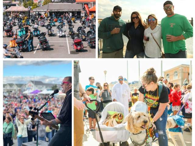 Fall Festival Season! OC Events You Don't Want to Miss this Fall!