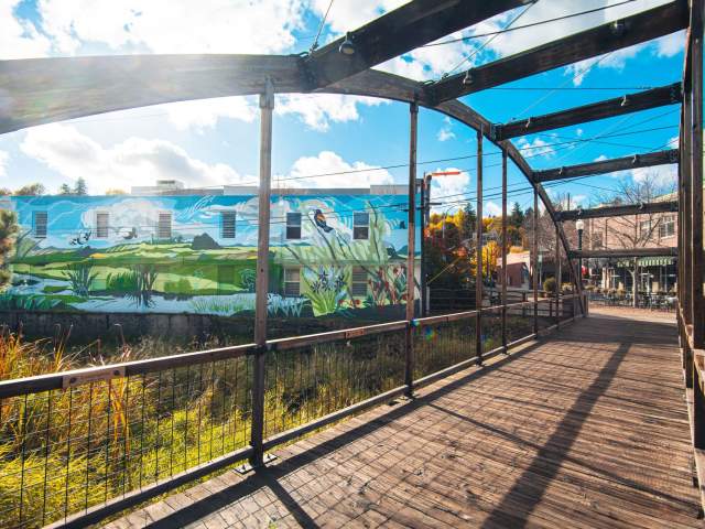 Downtown Pullman | Visit Pullman