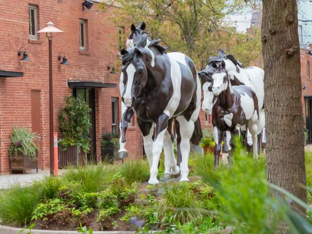 Stockyards National Historic District in Fort Worth | The Herd
